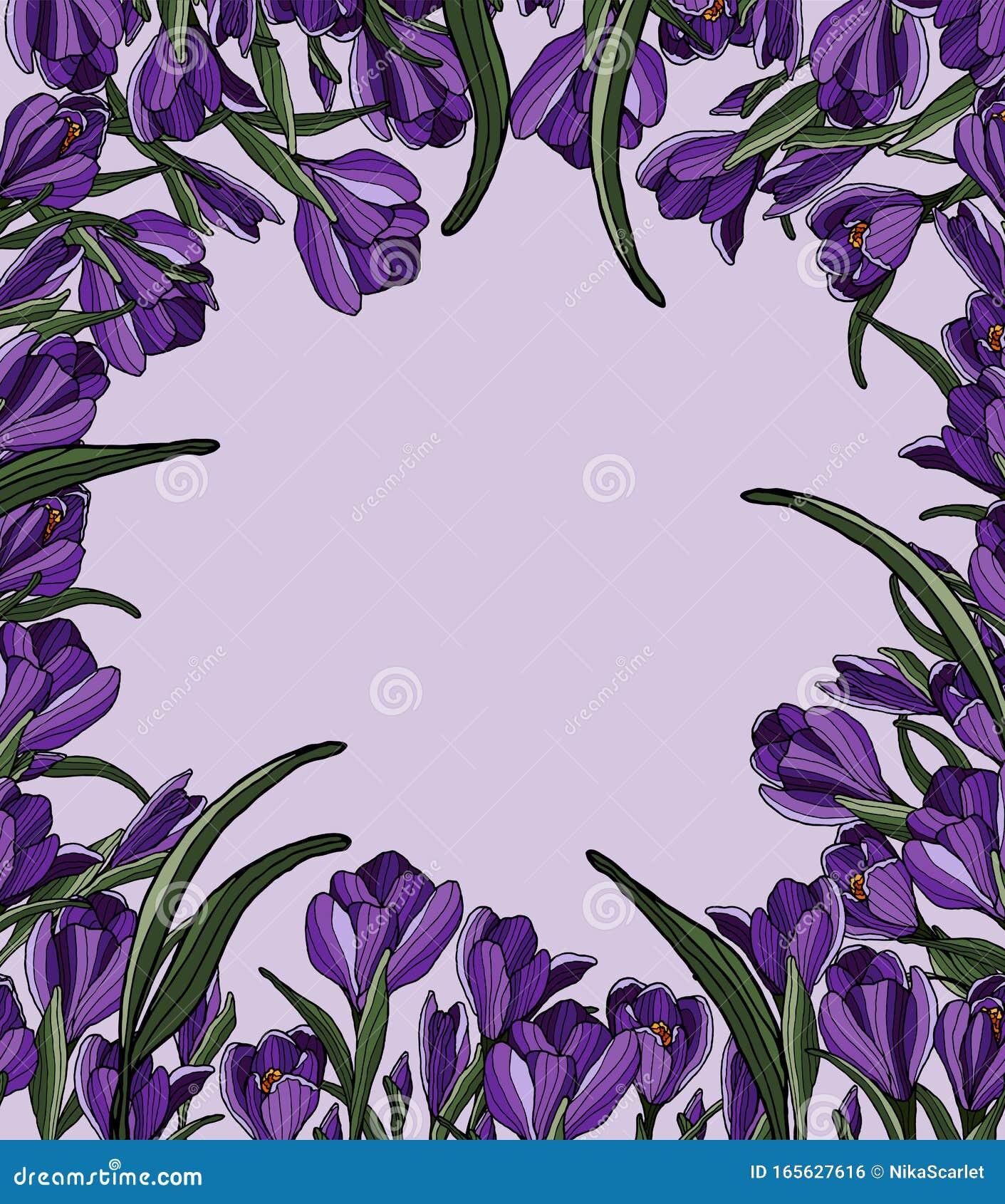 Crocus frame4 stock vector. Illustration of drawn, garland - 165627616