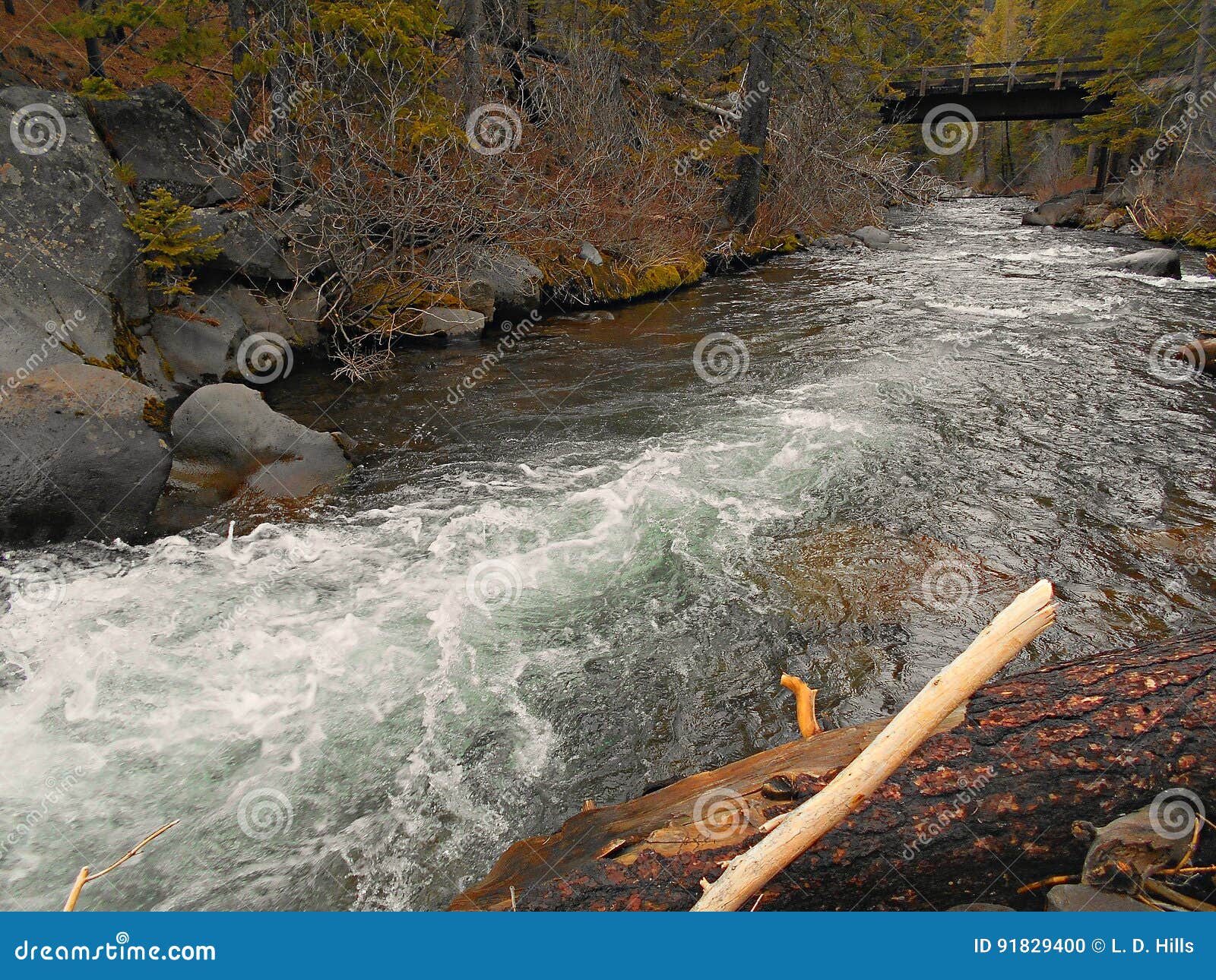 Springtime Flow stock photo. Image of bridge, rocks, creek - 91829400