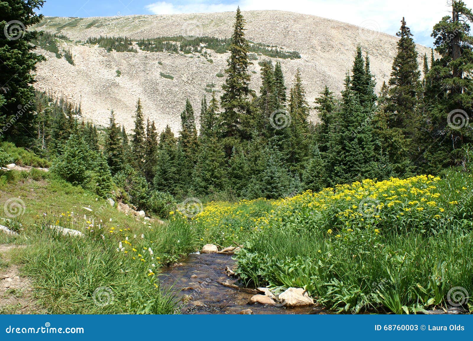 Springtime Flowers and Stream Stock Image - Image of front, stream ...