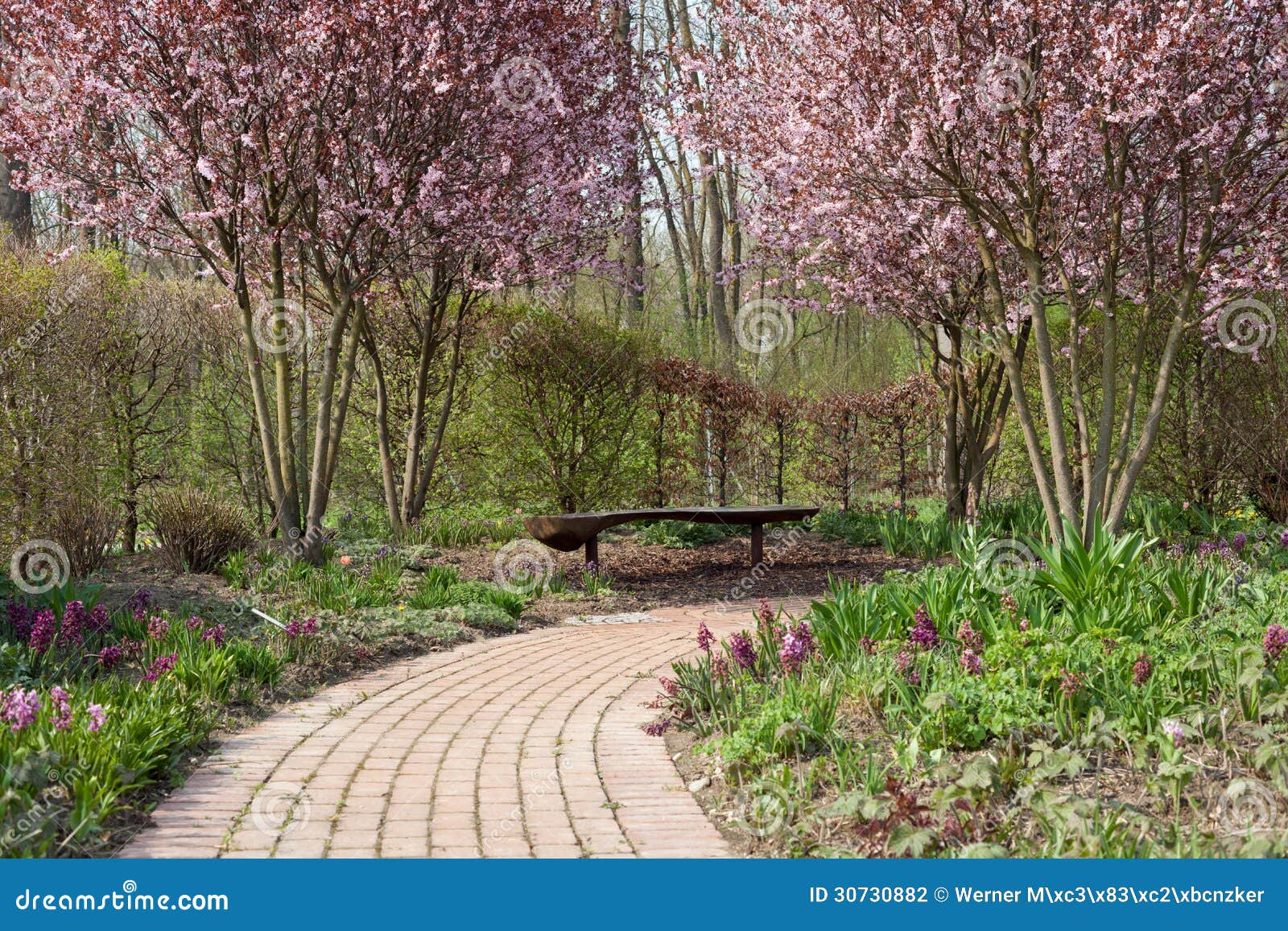 Springtime in garden stock photo. Image of garden, place - 30730882