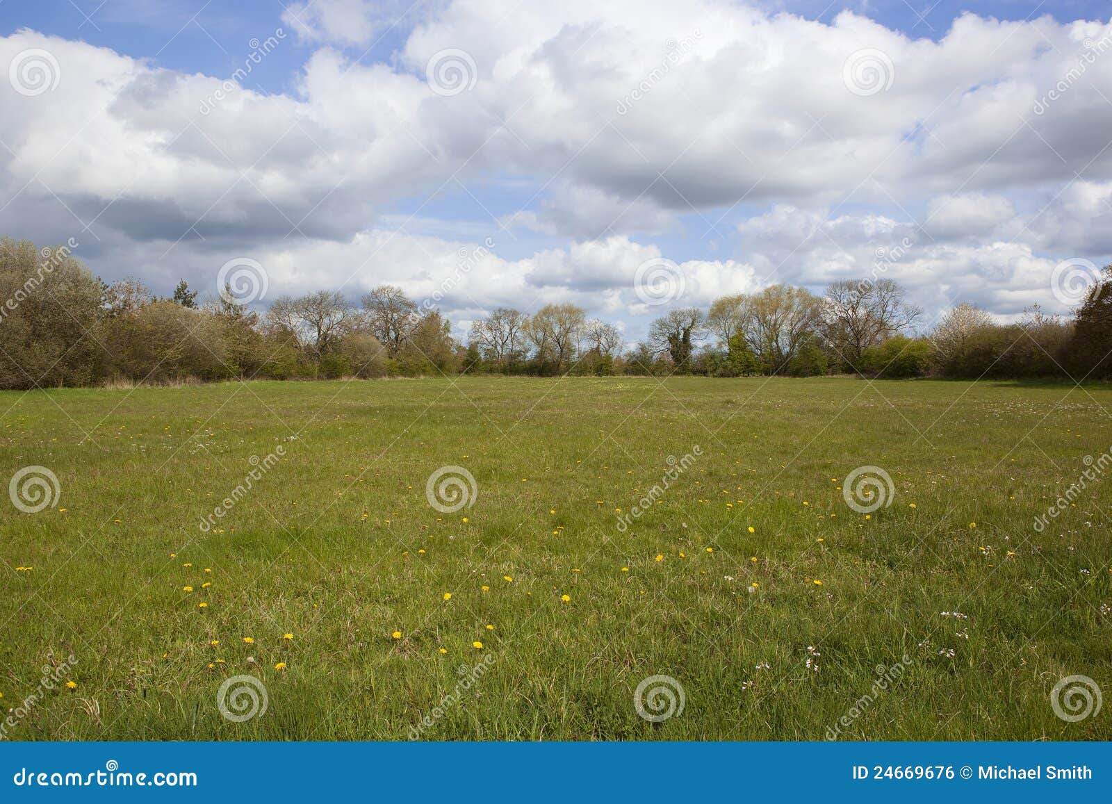 Springtime grass pasture stock photo. Image of england - 24669676