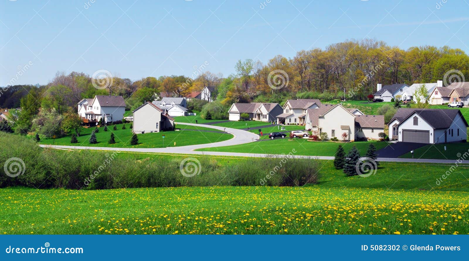 Springtime Homes stock photo. Image of shrubbery, evergreeen - 5082302