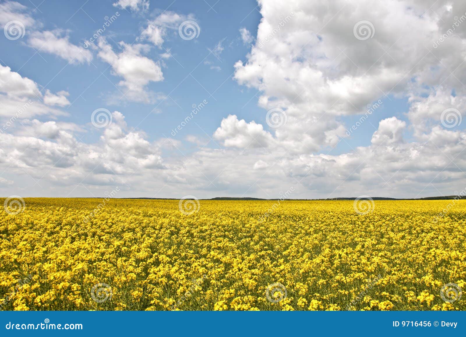 Springtime in Hungary stock photo. Image of bloom, hungary - 9716456