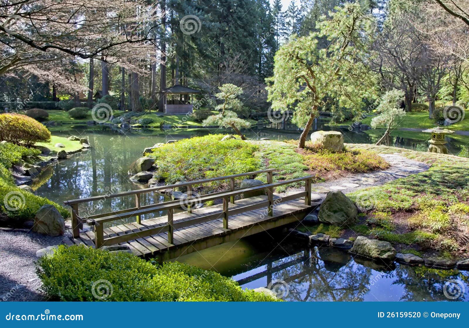 Springtime Japanese Garden stock photo. Image of lantern - 26159520