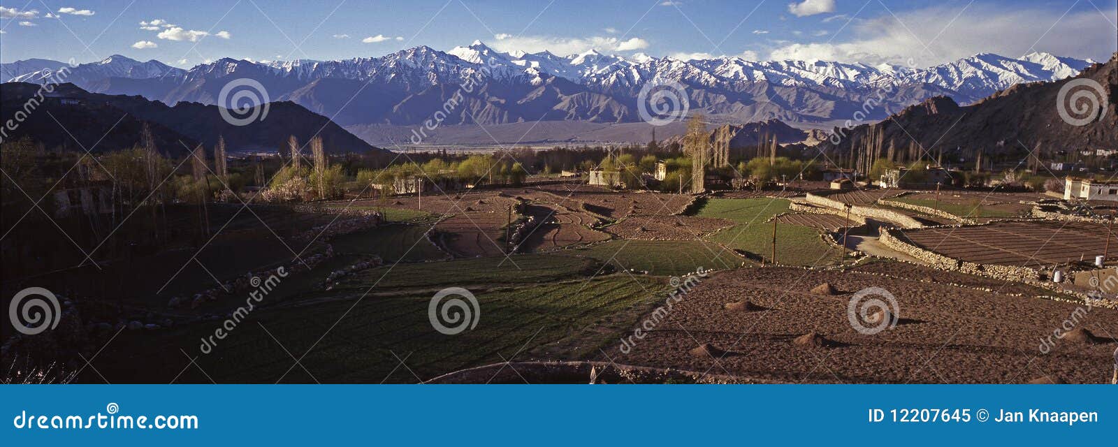 Springtime in Ladakh - Panorama Stock Image - Image of indian, poplars ...