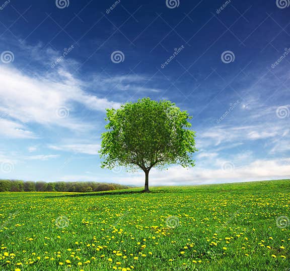 Springtime landscape stock image. Image of farming, nature - 16906601