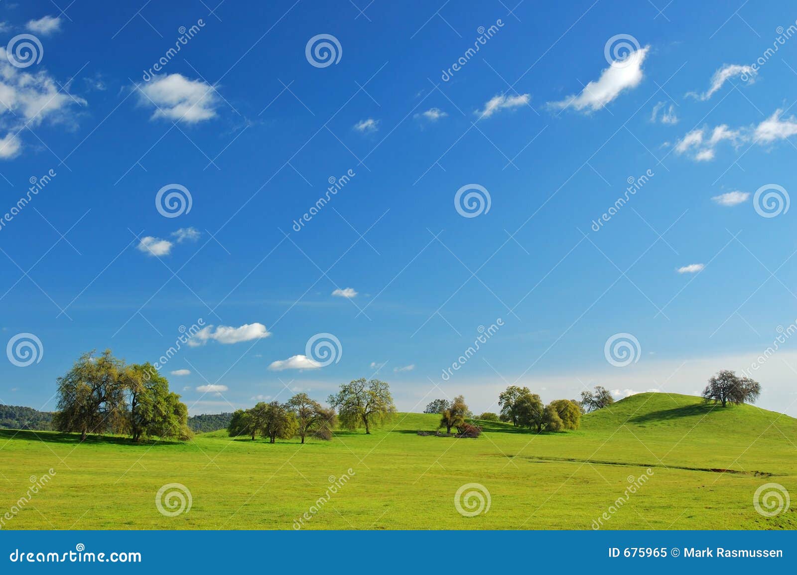 Springtime landscape stock image. Image of clouds, forest - 675965