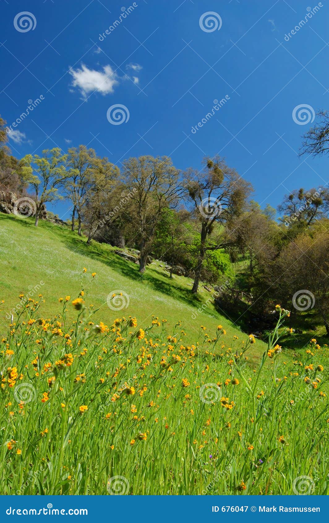 Springtime landscape stock image. Image of clouds, springtime - 676047
