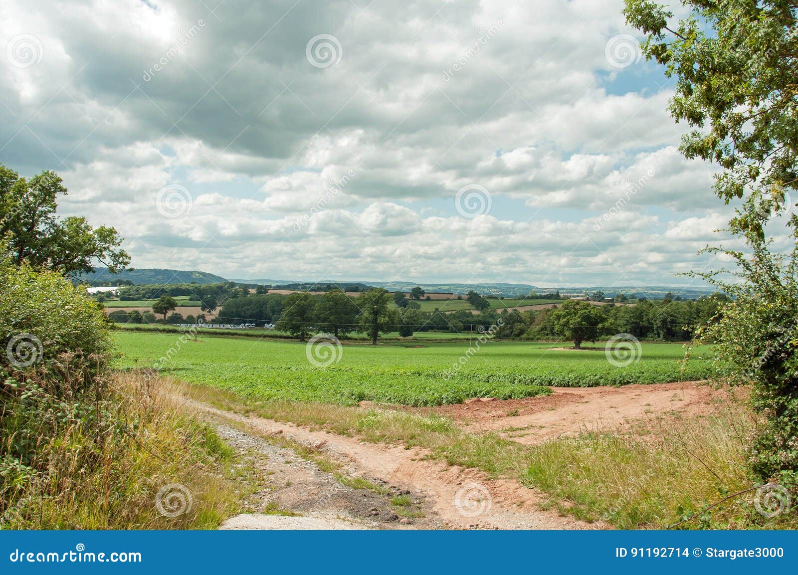 Springtime Landscape in the British Countryside. Stock Photo - Image of ...