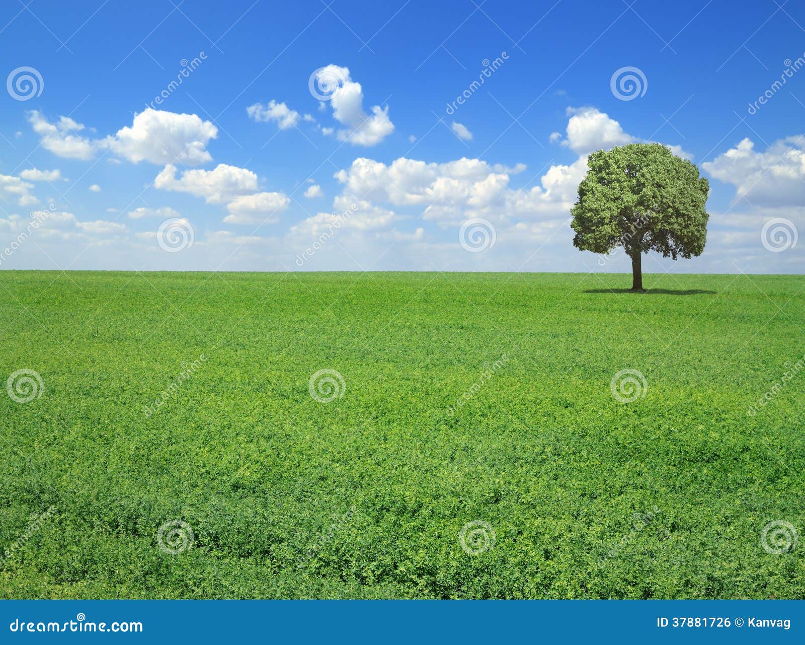 Springtime landscape stock photo. Image of horizon, hill - 37881726