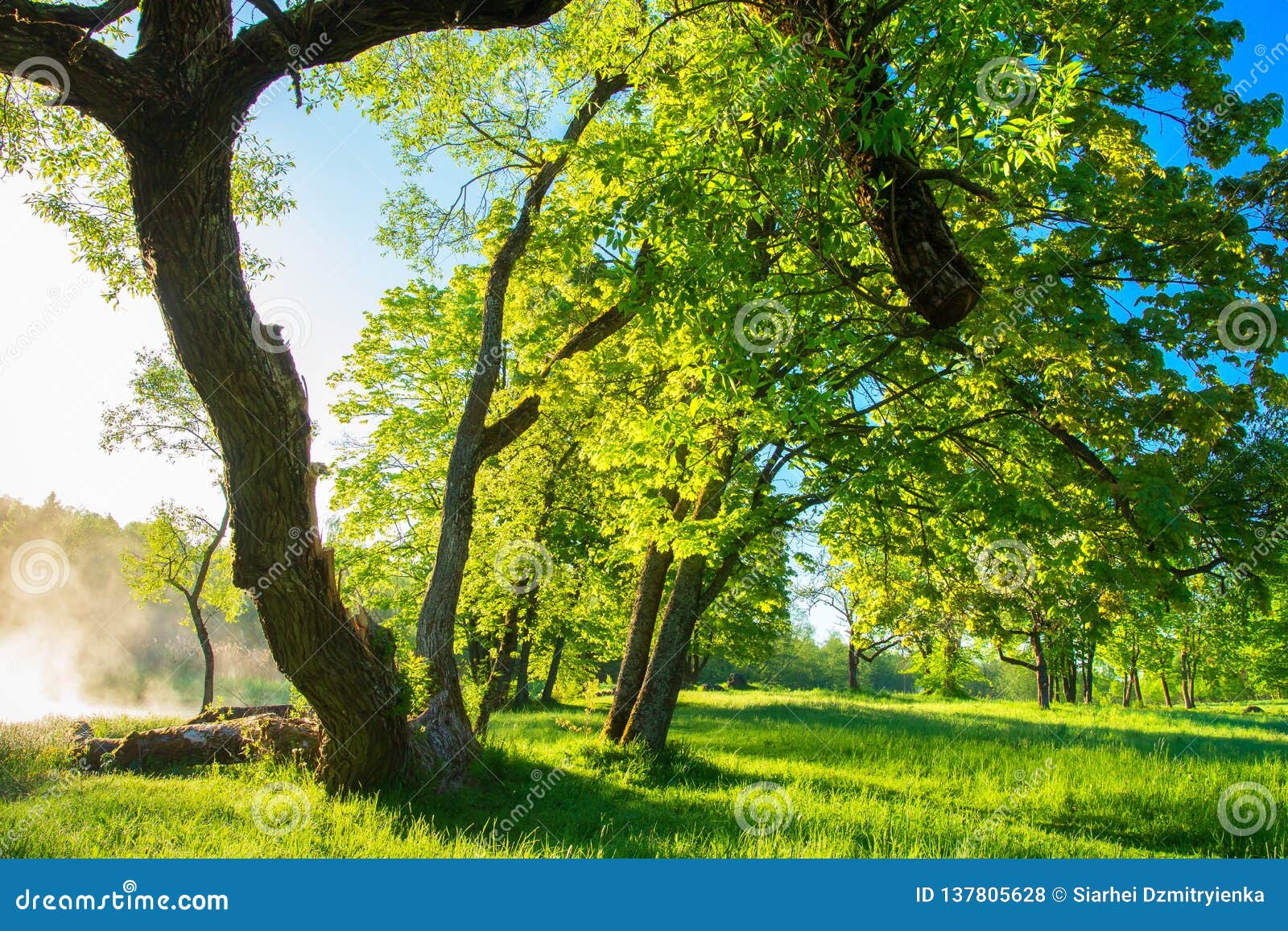 Springtime landscape stock photo. Image of countryside - 137805628