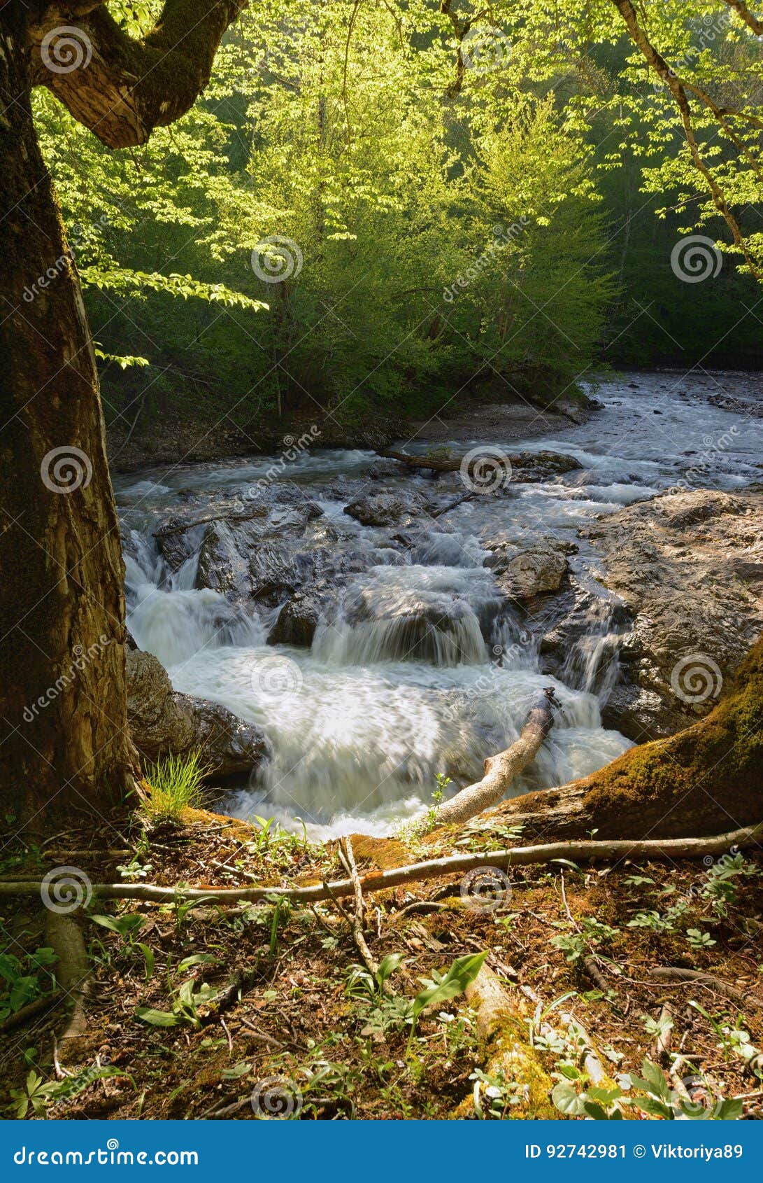 Springtime Landscape of Mountain River with Small Waterfall Over Rocks ...