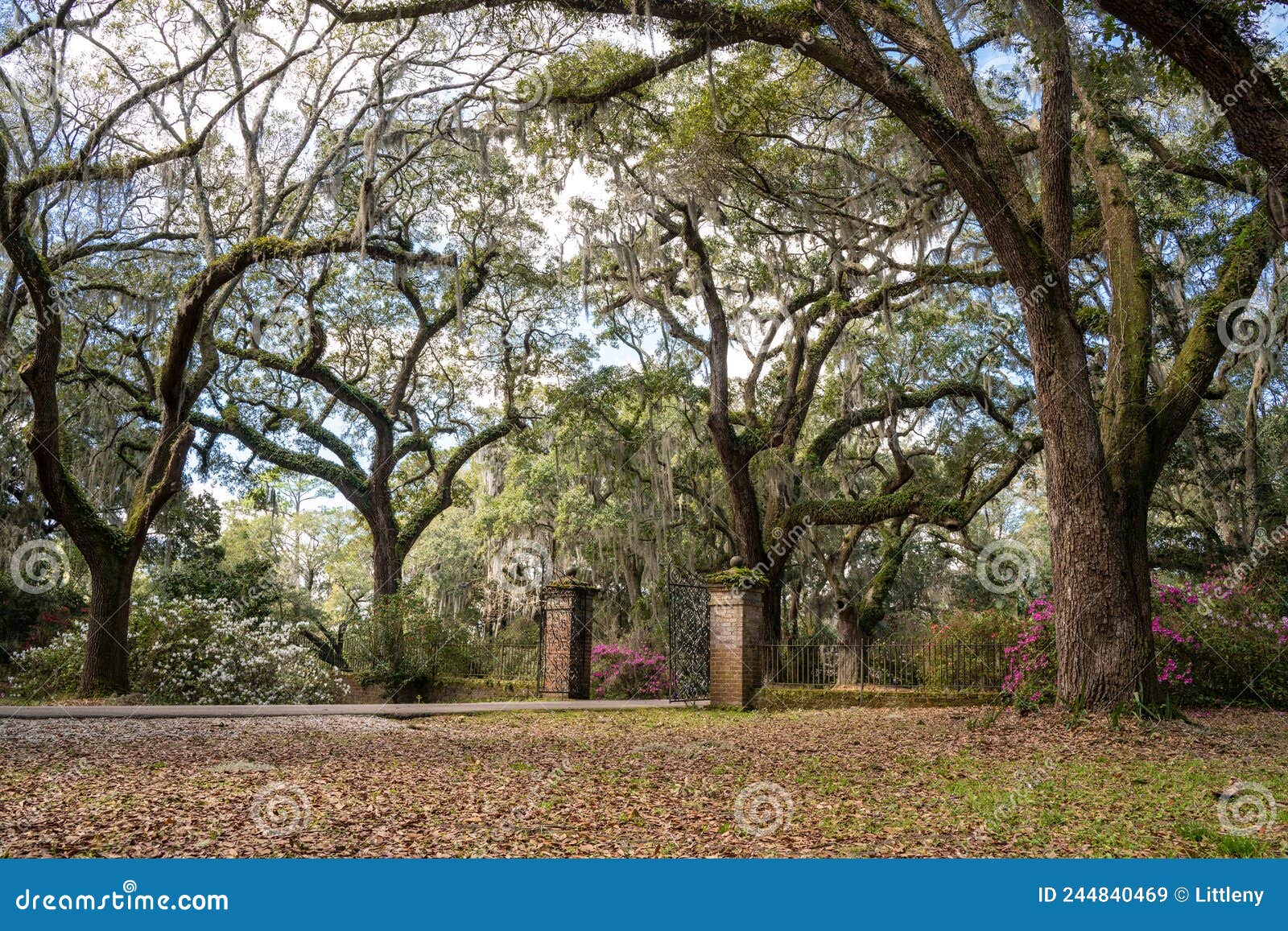 Springtime Landscape with Trees and Estate Garden Gate Stock Image ...