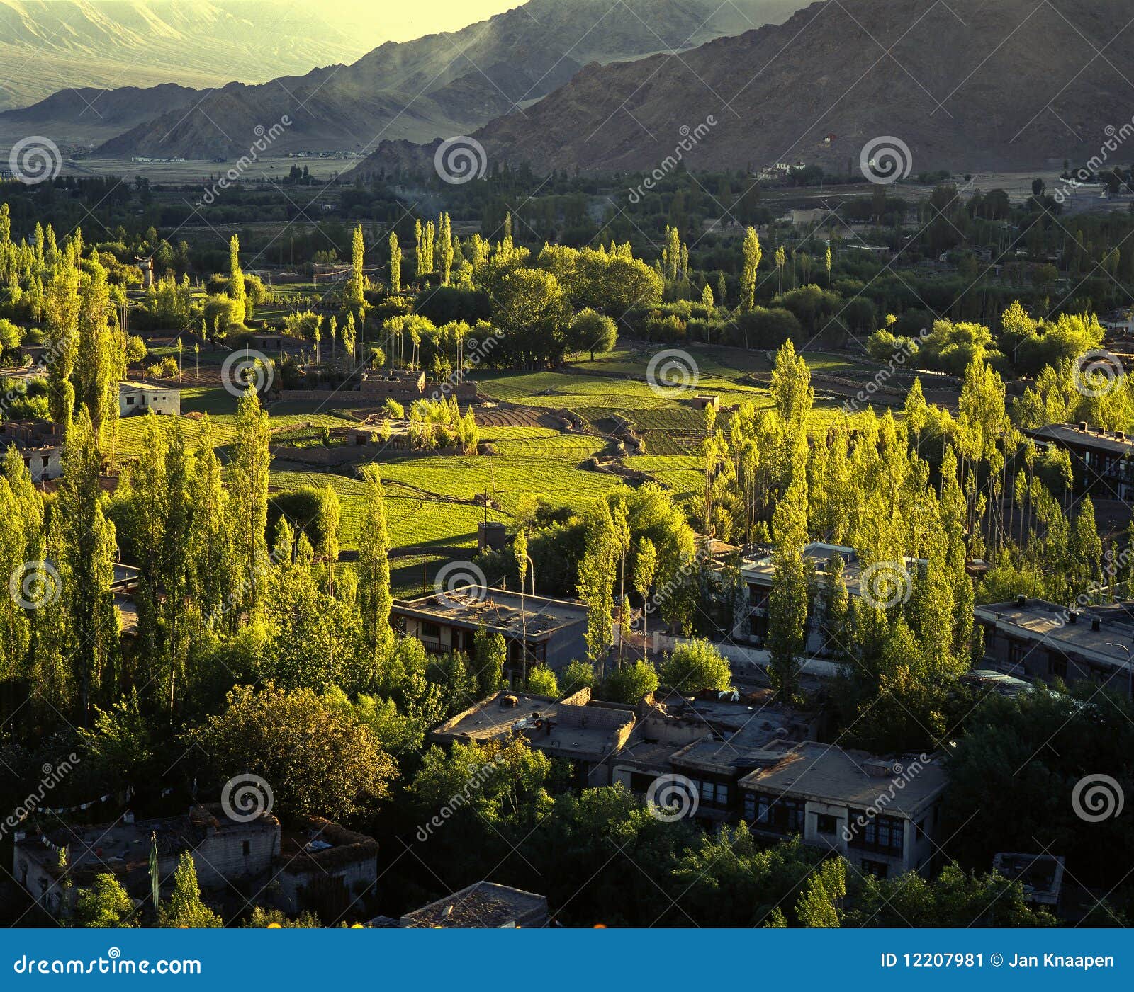 Springtime in Leh, Ladakh stock image. Image of fields - 12207981