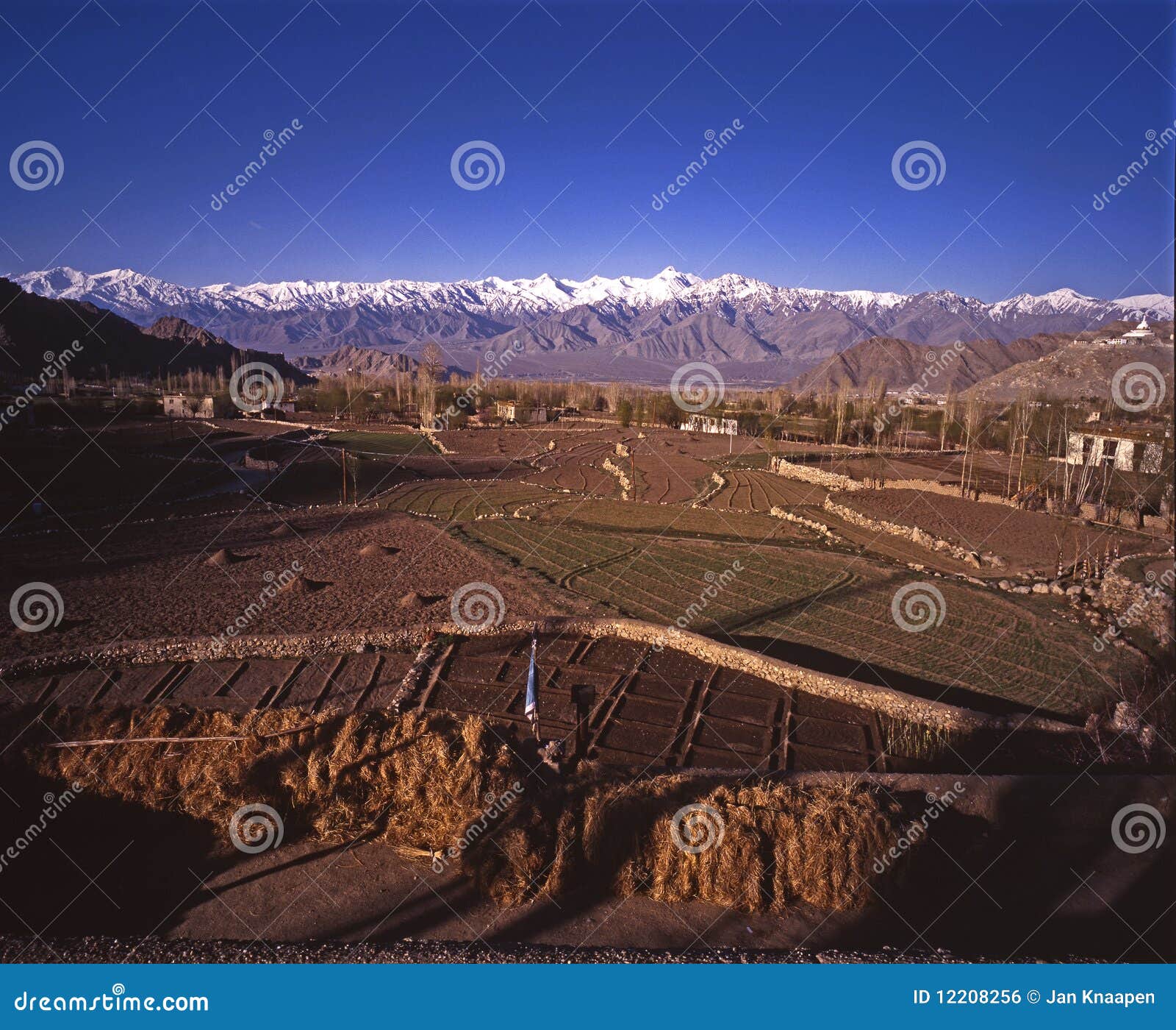 Springtime in Leh, Ladakh stock photo. Image of palace - 12208256