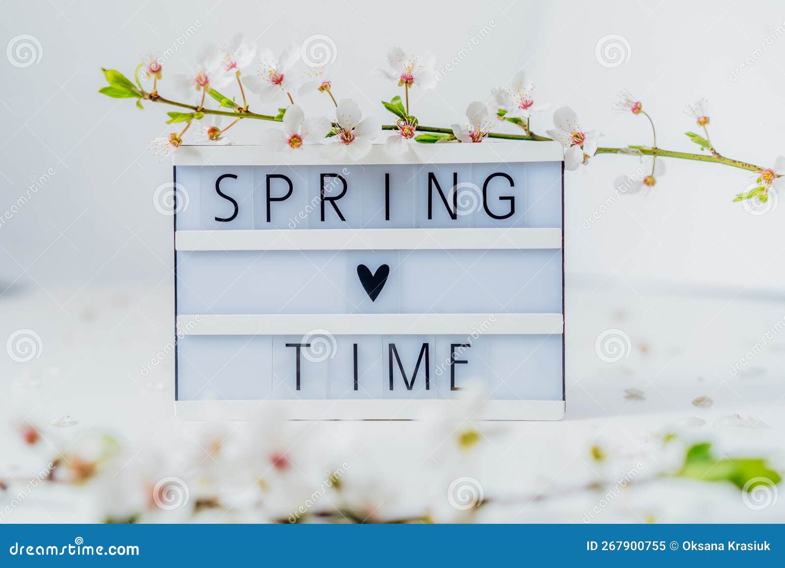 Springtime Lettering on the Lightbox and Fresh Blooming Tree Branch on ...