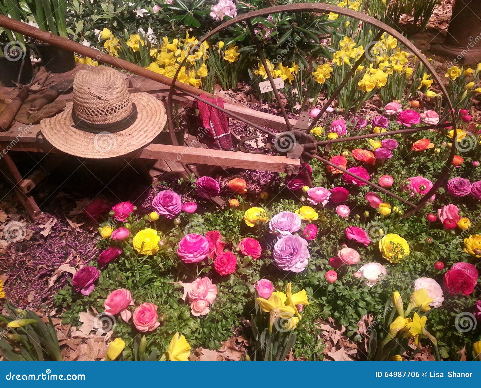 Springtime in Minneapolis stock photo. Image of downtown - 64987706