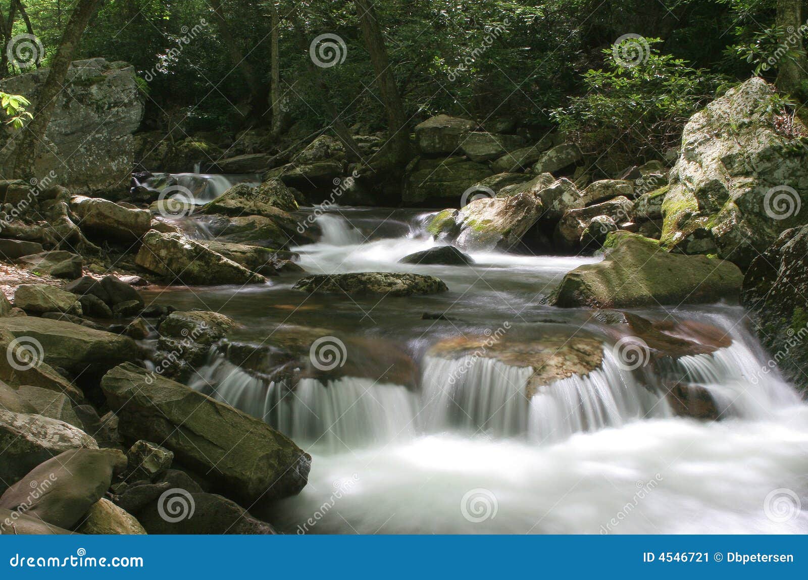 Springtime Mountain Stream stock image. Image of national - 4546721