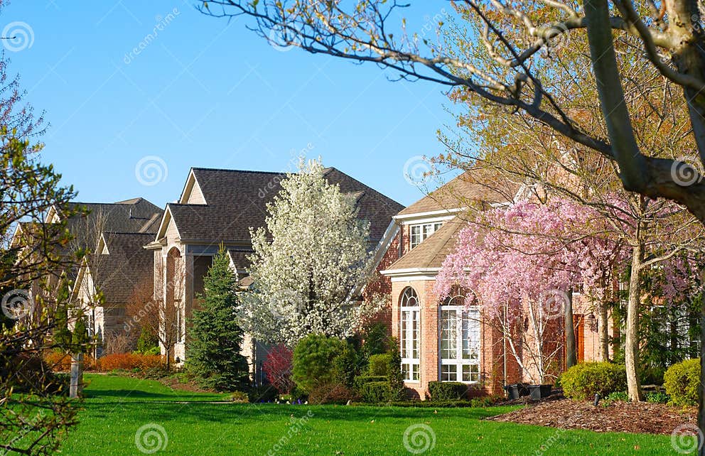 Springtime neighborhood stock photo. Image of bushes - 13894946