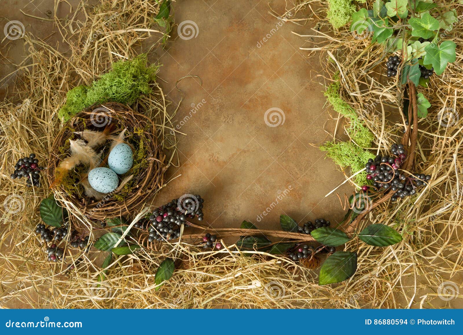 Springtime nest border stock photo. Image of green, easter - 86880594