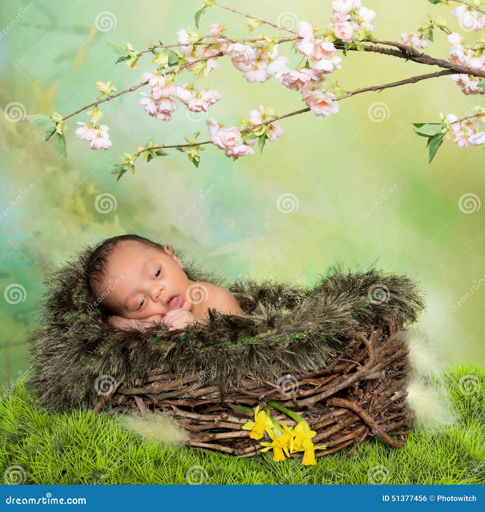 Infant Babies Springtime Stock Photos - Free & Royalty-Free Stock ...