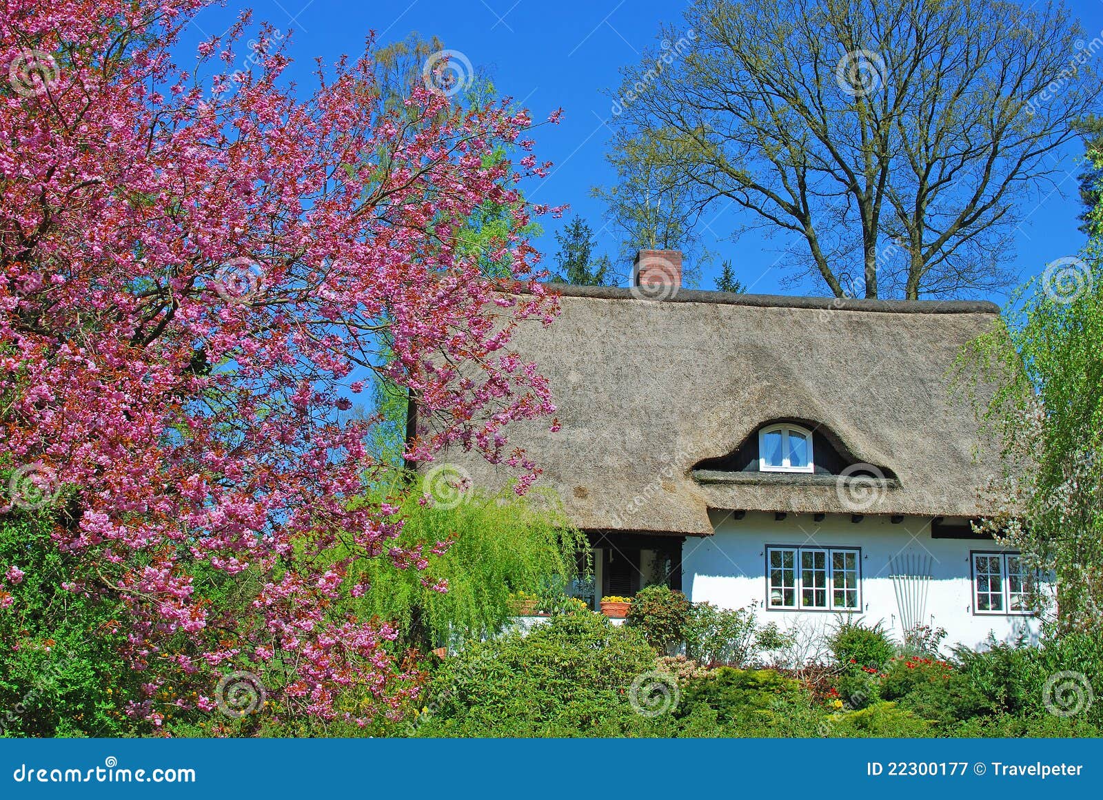 Springtime in Northern Germany Stock Image - Image of places, holiday ...