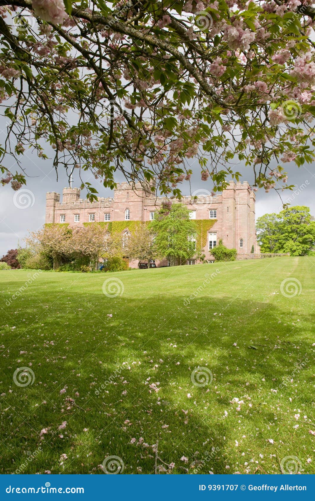 Springtime at the palace stock image. Image of scottish - 9391707