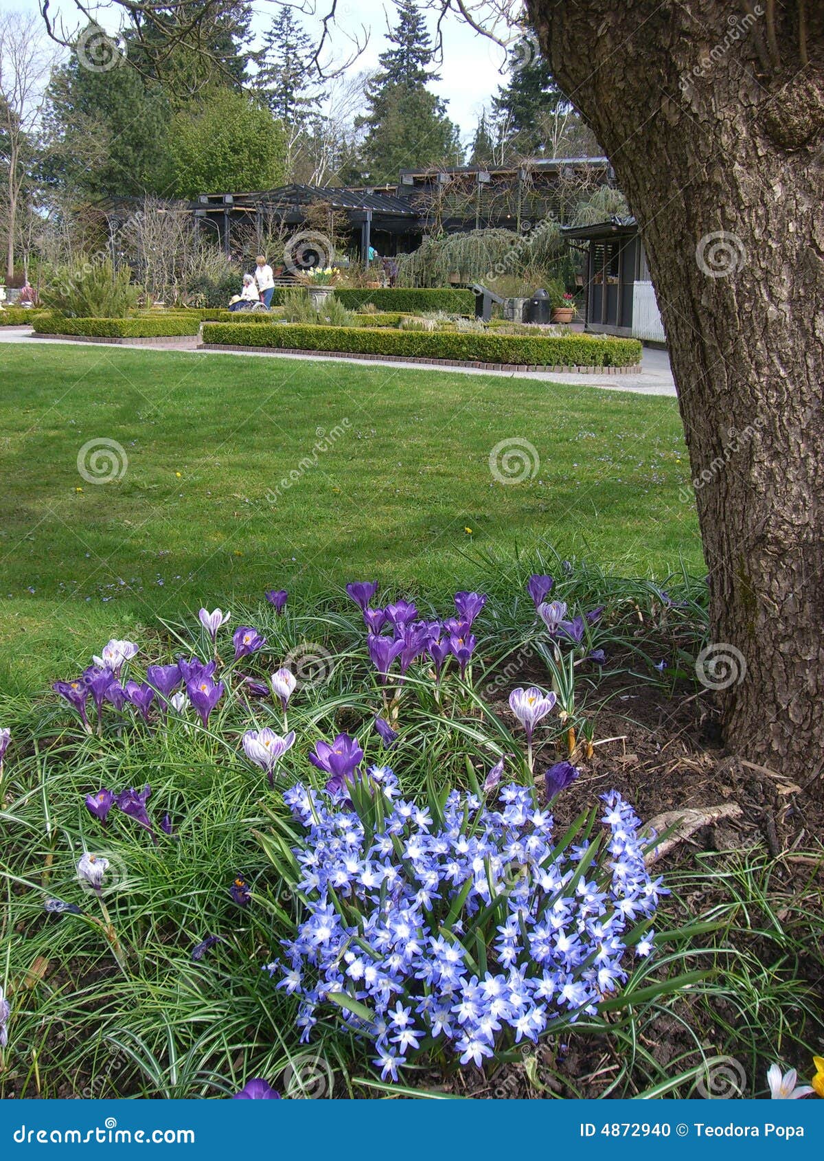 Springtime in the park stock photo. Image of outdoors - 4872940