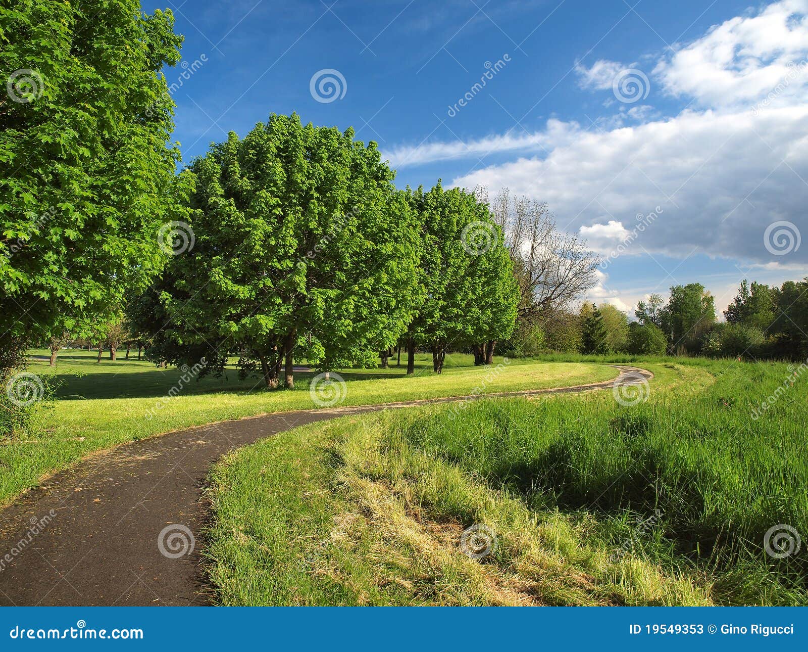 Springtime, & Parks PNW Oregon. Stock Image - Image of view, plants ...