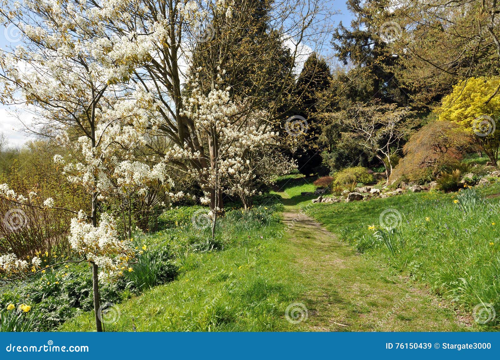 Springtime pathways stock image. Image of scenery, hedges - 76150439