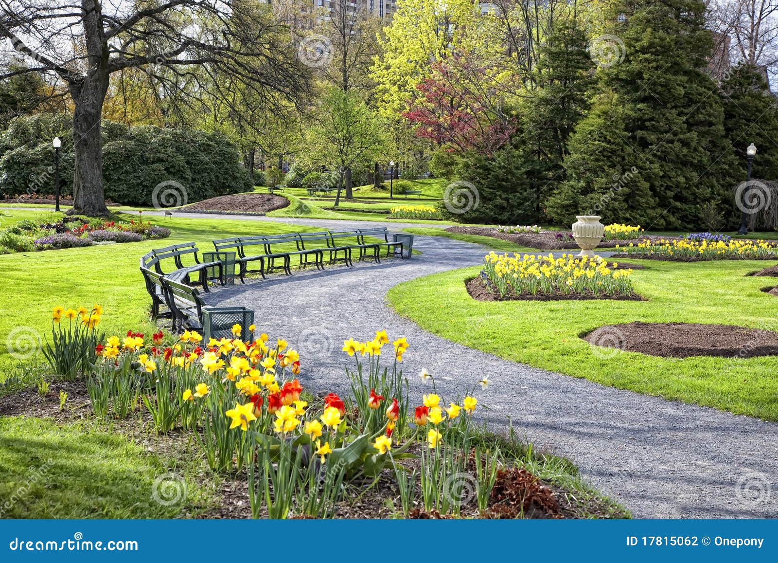 Springtime Public Garden stock photo. Image of lawn, tree - 17815062