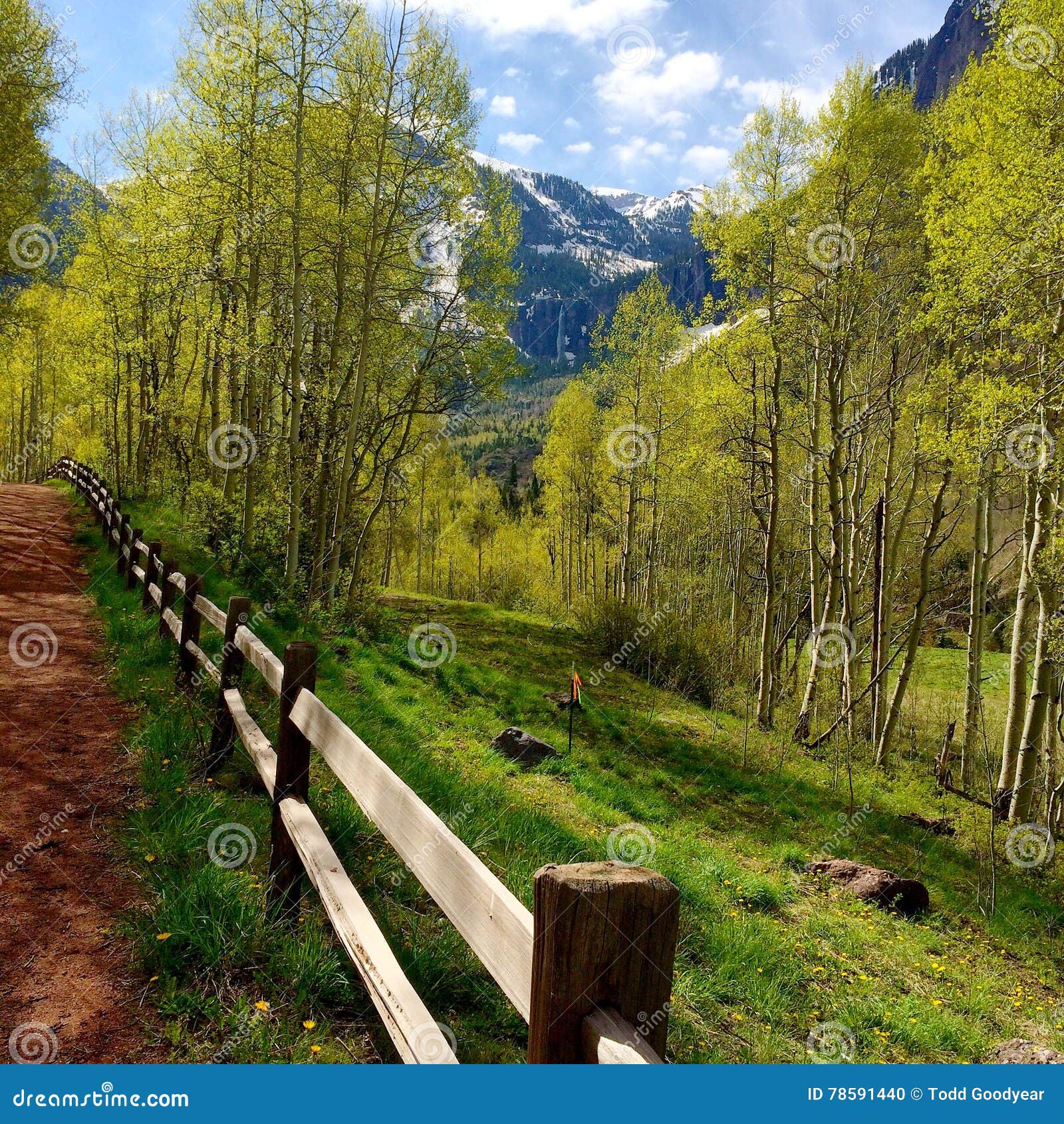 Springtime in the Rockies stock photo. Image of springtime - 78591440