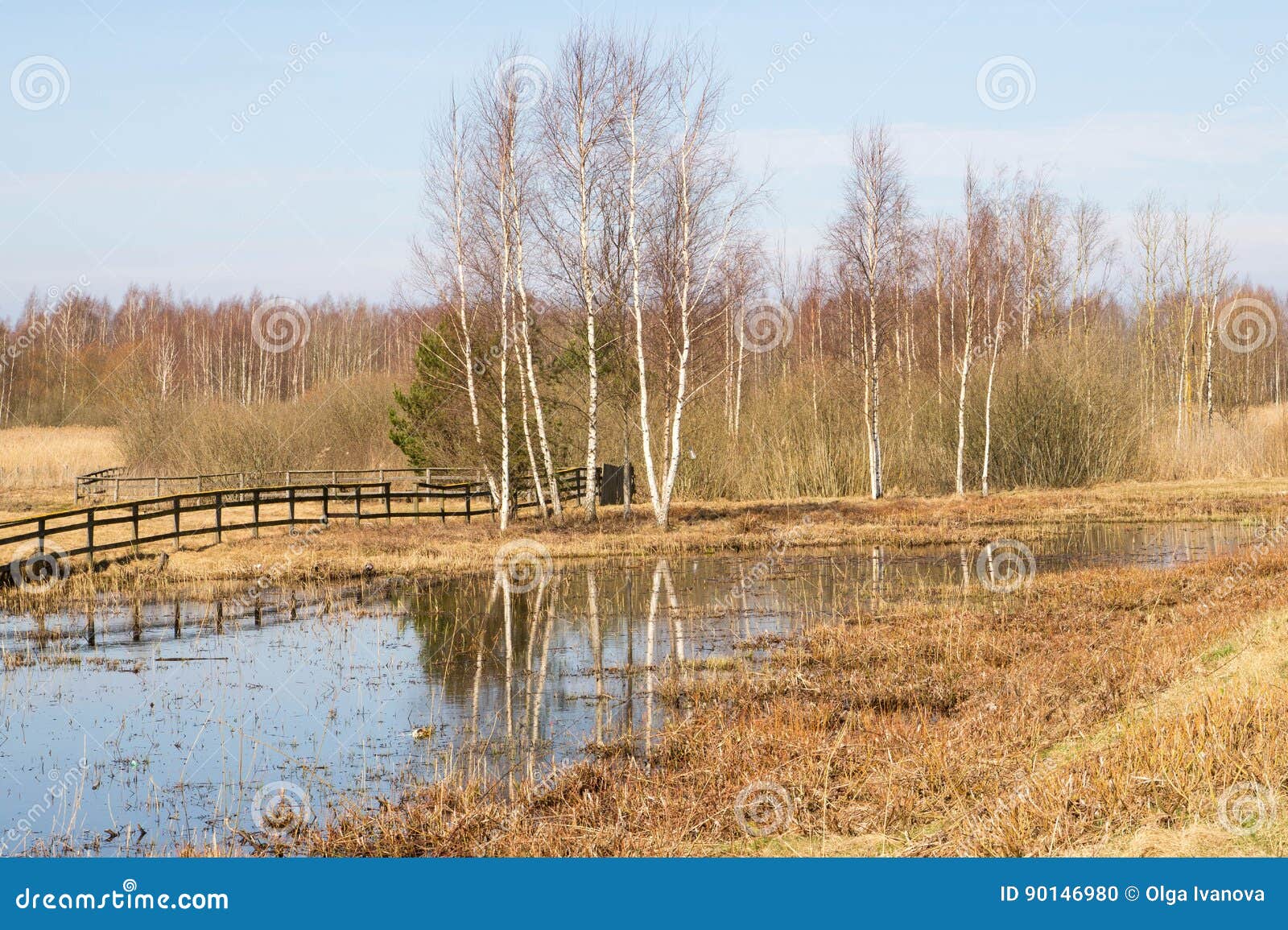Springtime rural scene stock photo. Image of tree, horizon - 90146980