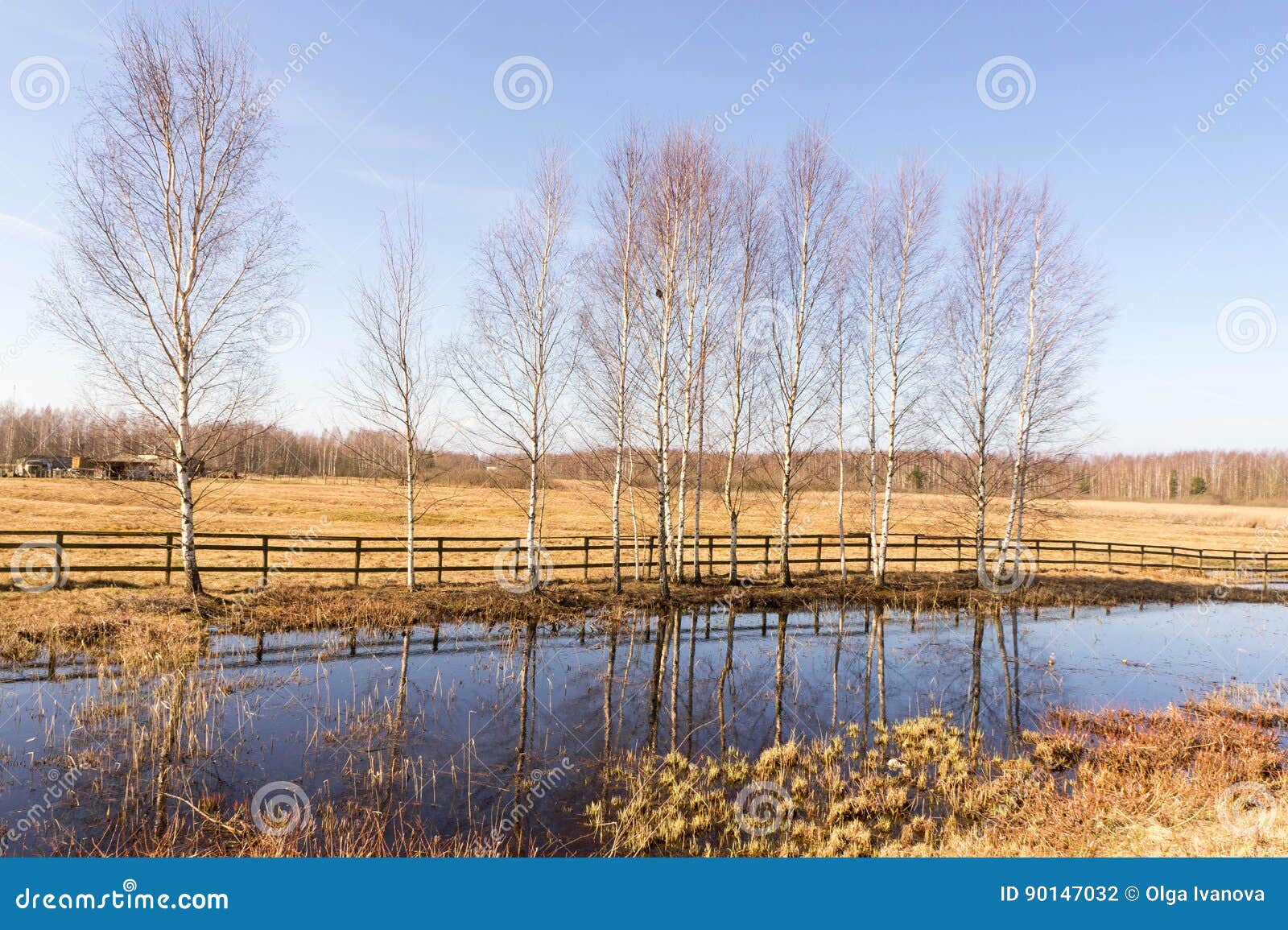 Springtime rural scene stock photo. Image of springtime - 90147032