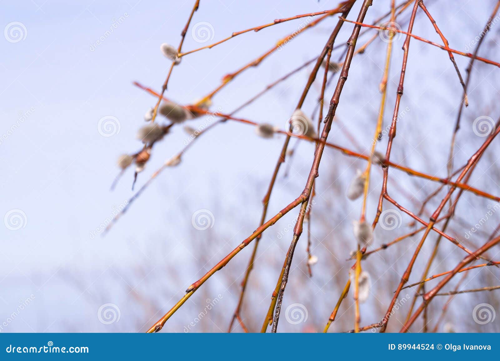 Springtime by the sea stock photo. Image of scene, tranquil - 89944524