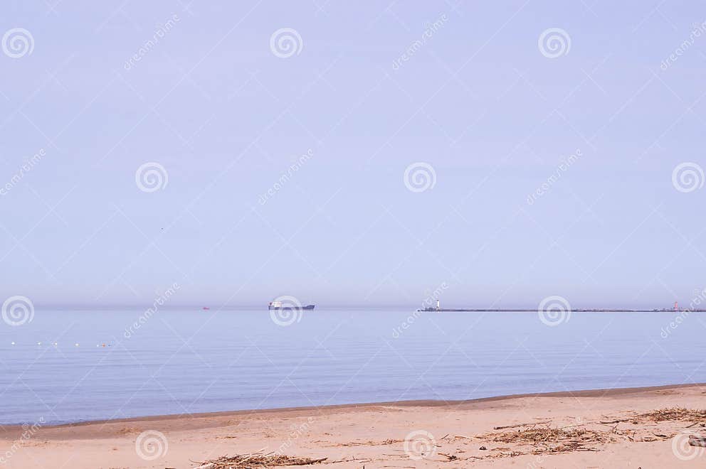 Springtime by the sea stock photo. Image of plant, beach - 89944580