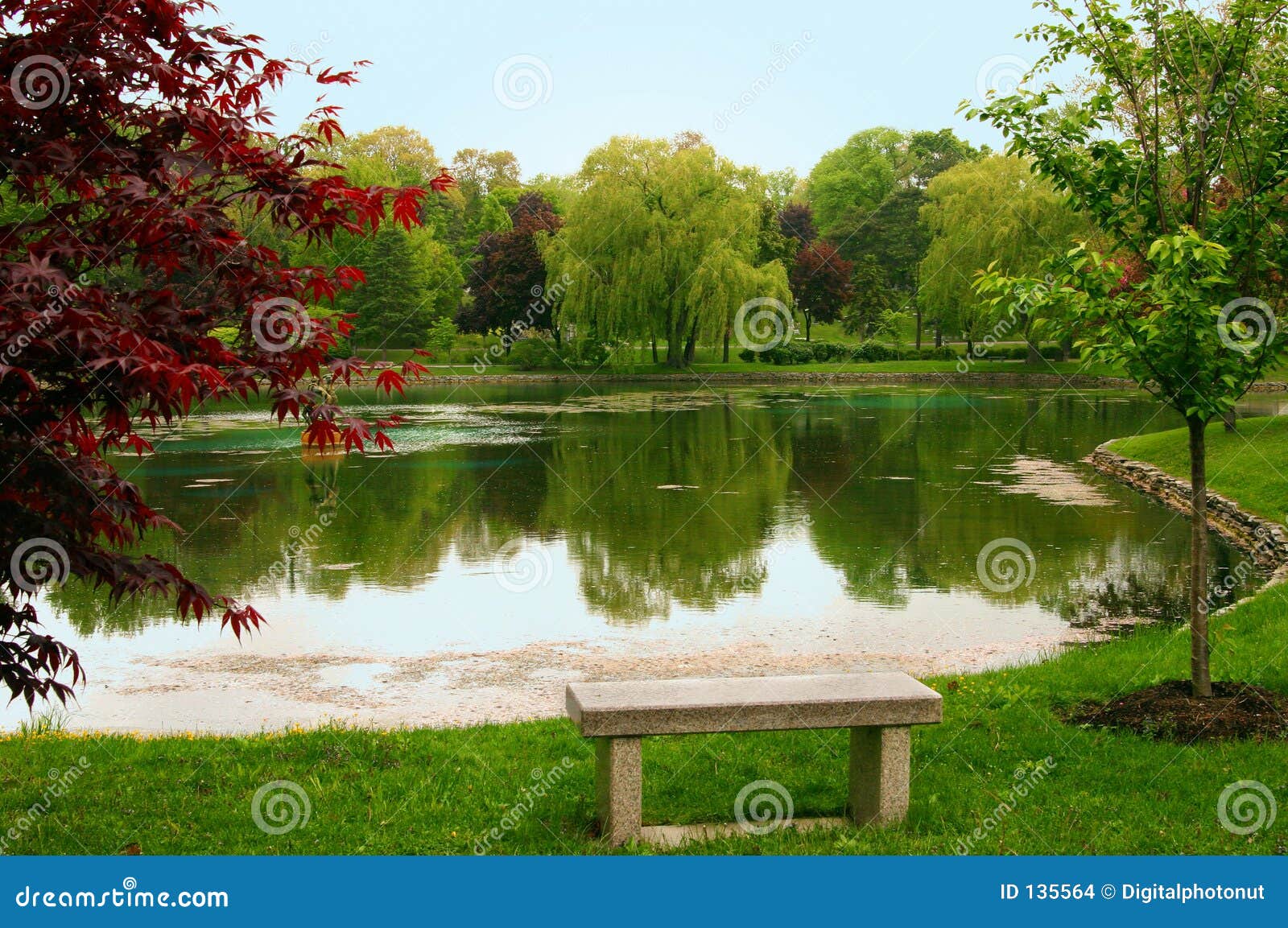 Springtime Serenity stock photo. Image of bench, outdoors - 135564