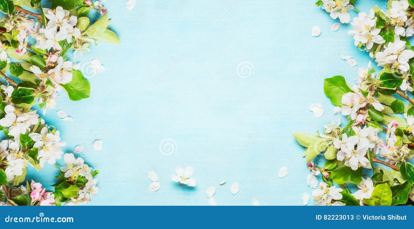 Springtime with Spring Blossom Twigs on Blue Turquoise Background, Top ...