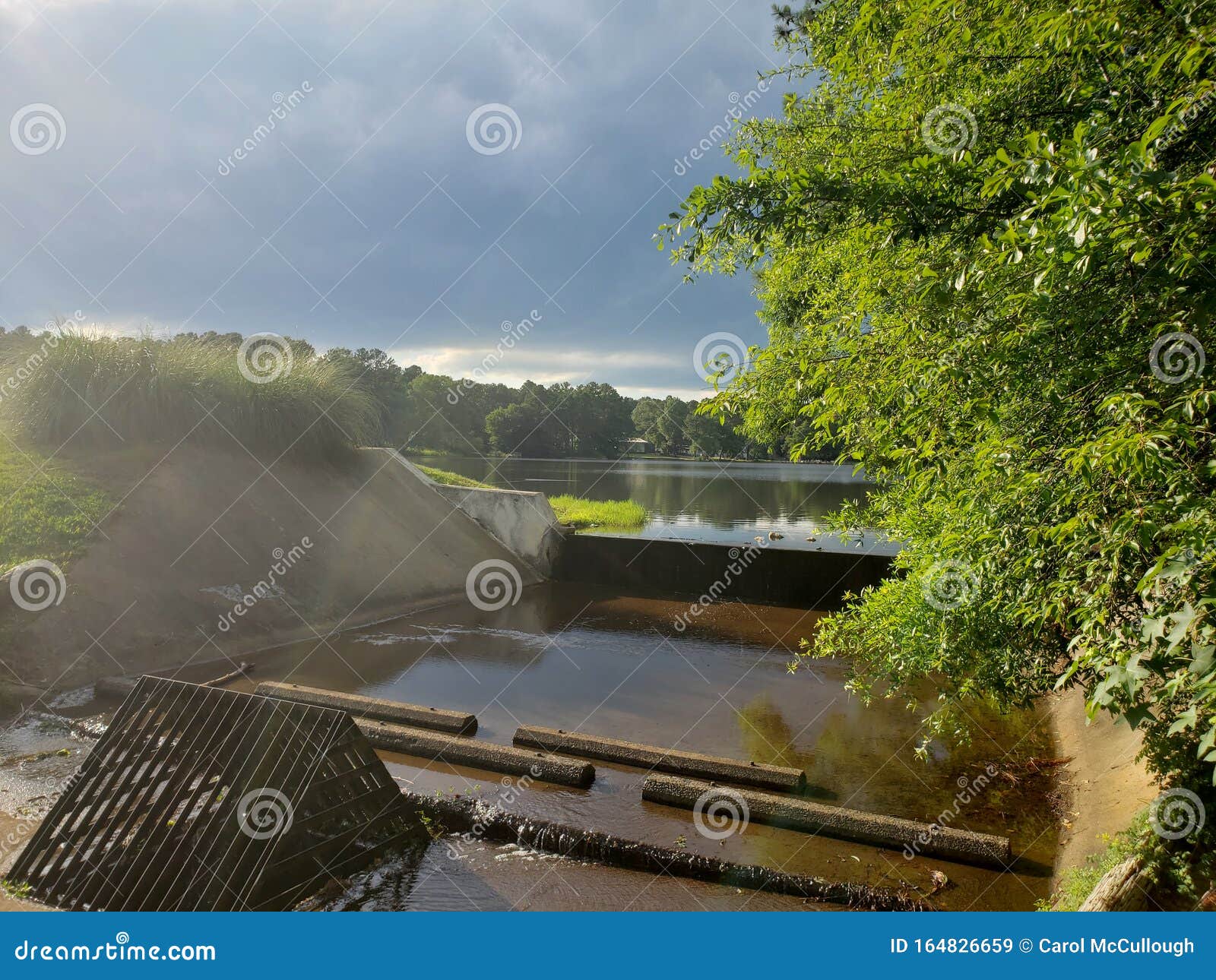 Springtime stock image. Image of water, nature, springtime - 164826659