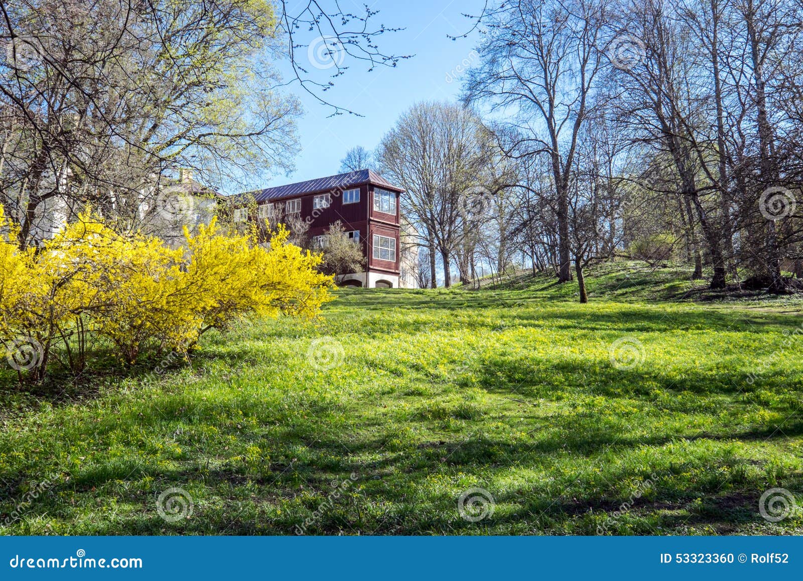 Springtime in Sweden stock photo. Image of spring, seasons - 53323360