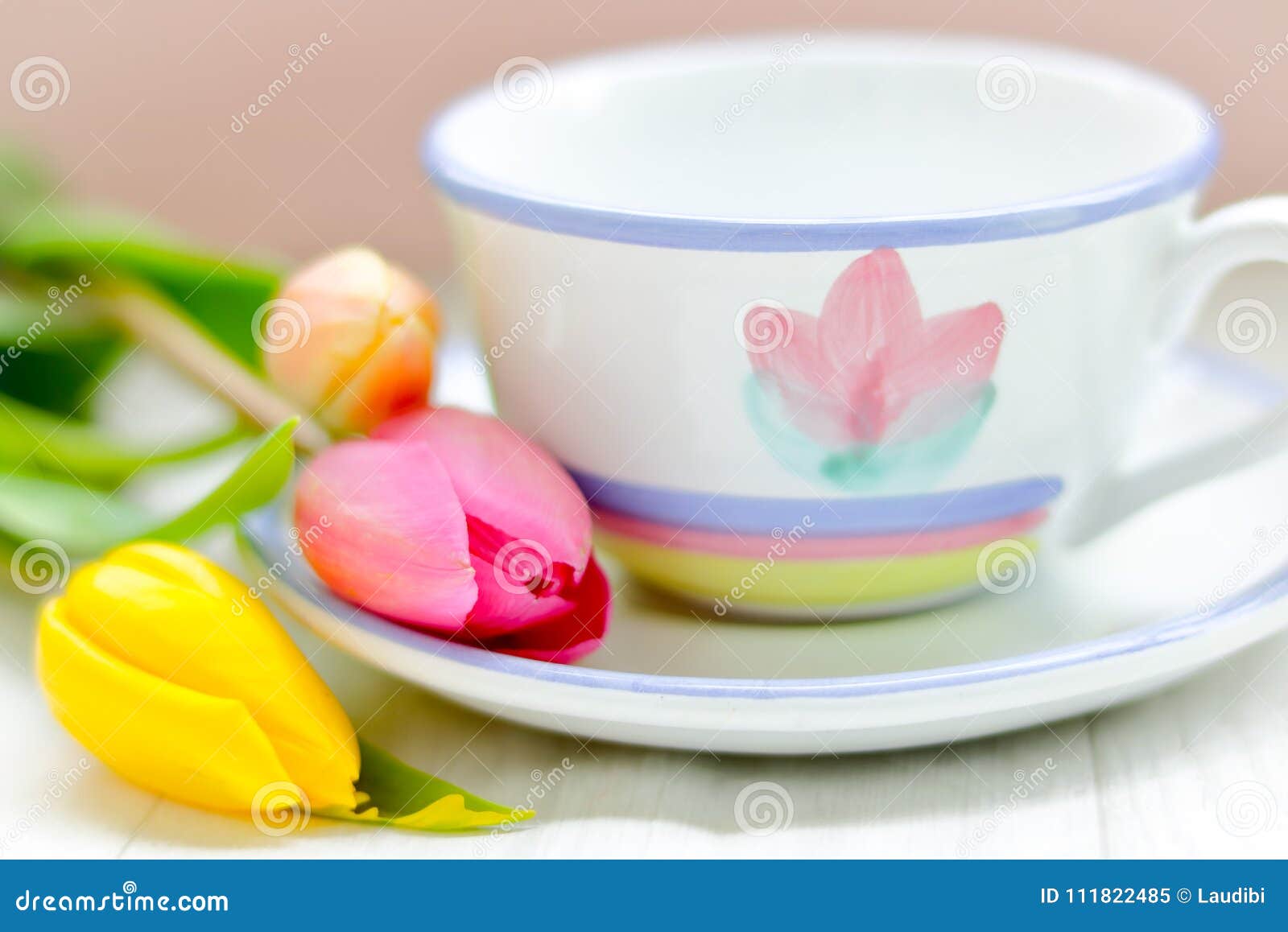 Springtime tea stock image. Image of colors, light, garden - 111822485