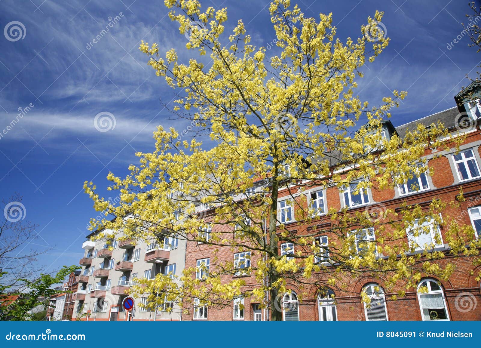 Springtime in town stock image. Image of horizontal, housing - 8045091