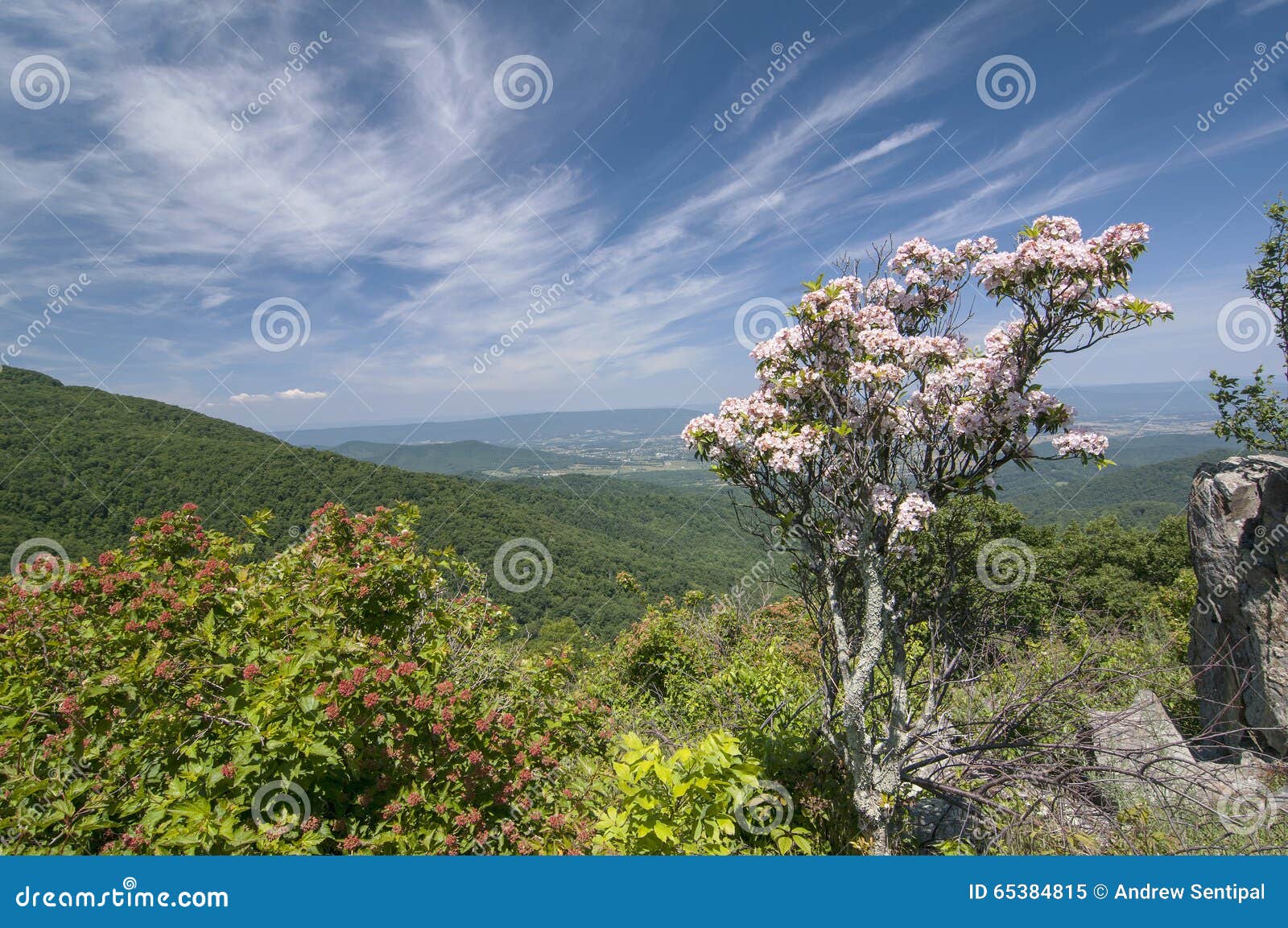Springtime View of the Mountains Stock Image - Image of view, tourism ...