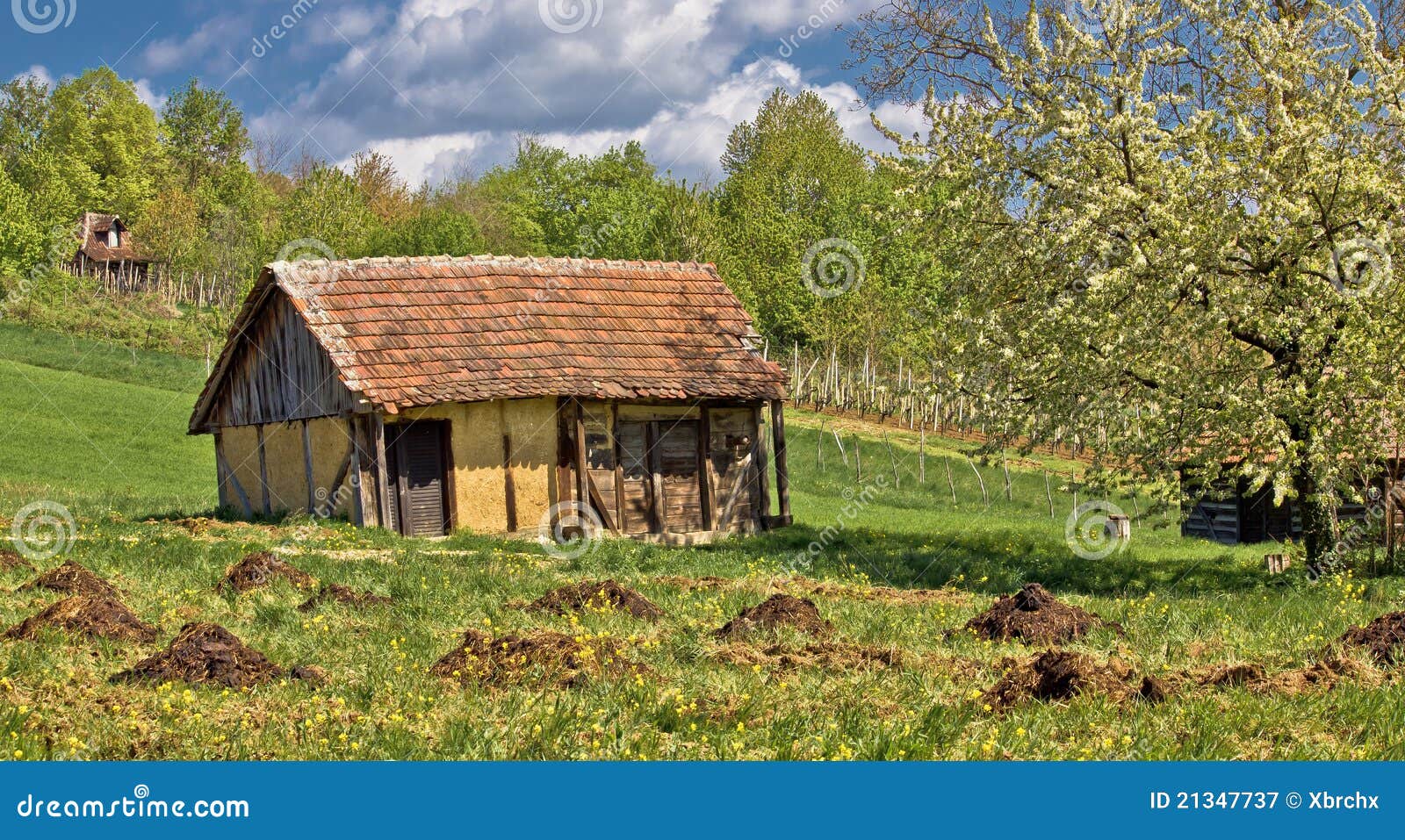 Springtime View on Old Traditional Cottage Stock Image - Image of farm ...