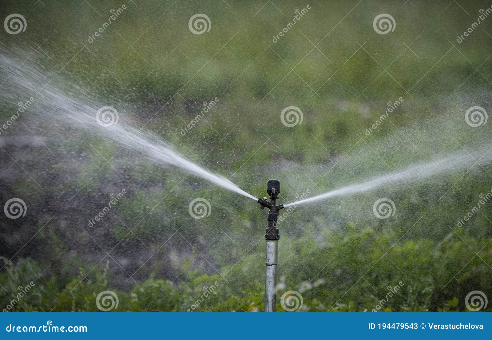 Sprinker Irrigation System Spraying Water on Field Stock Image - Image ...