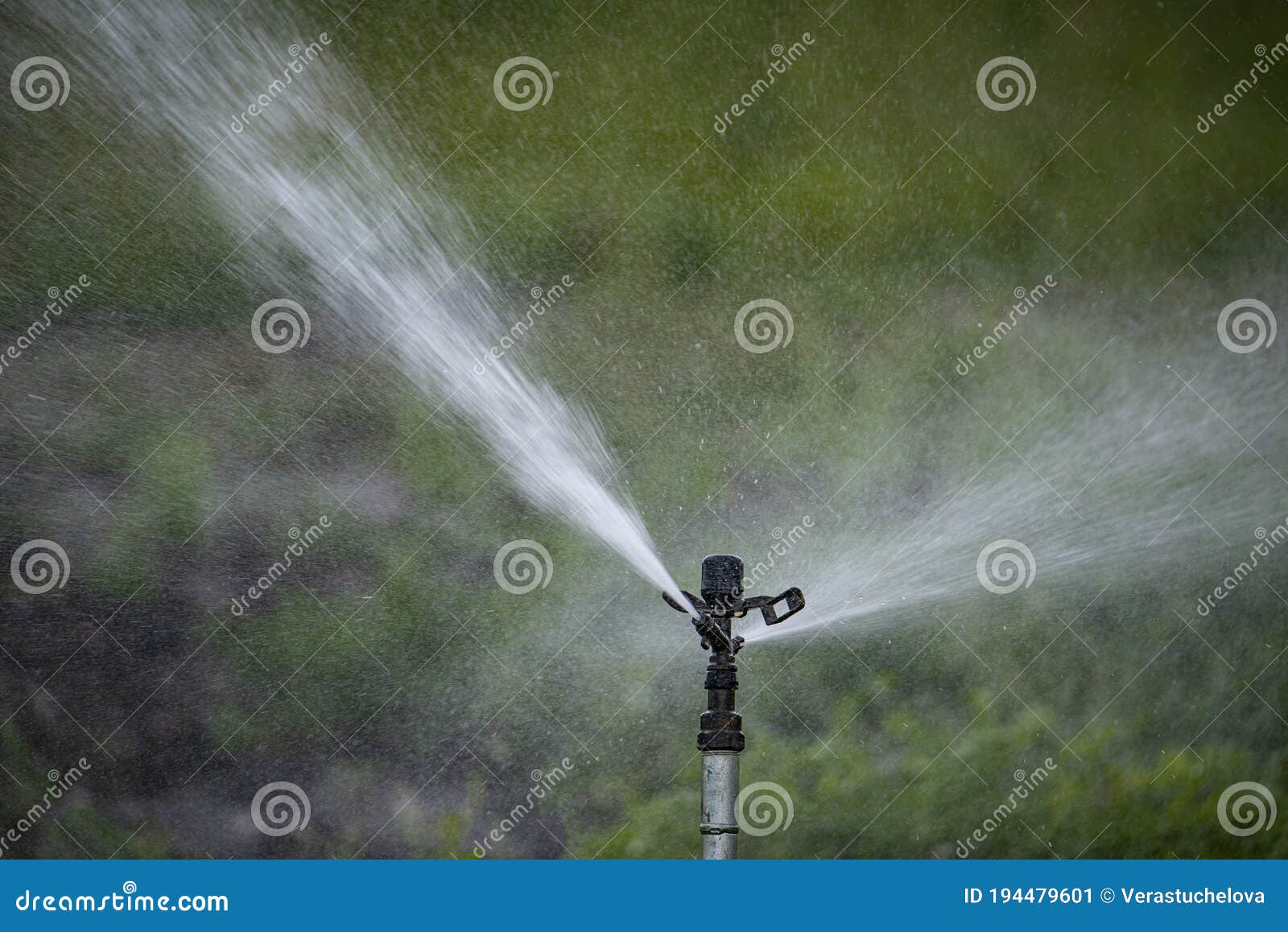 Sprinker Irrigation System Spraying Water on Field Stock Image - Image ...