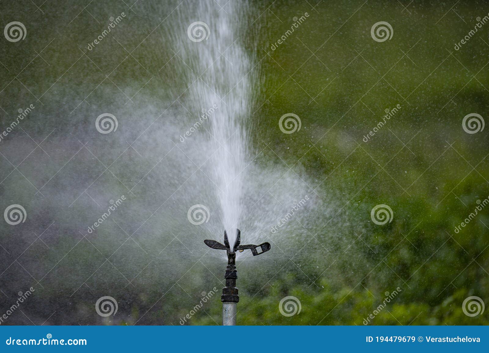Sprinker Irrigation System Spraying Water on Field Stock Image - Image ...