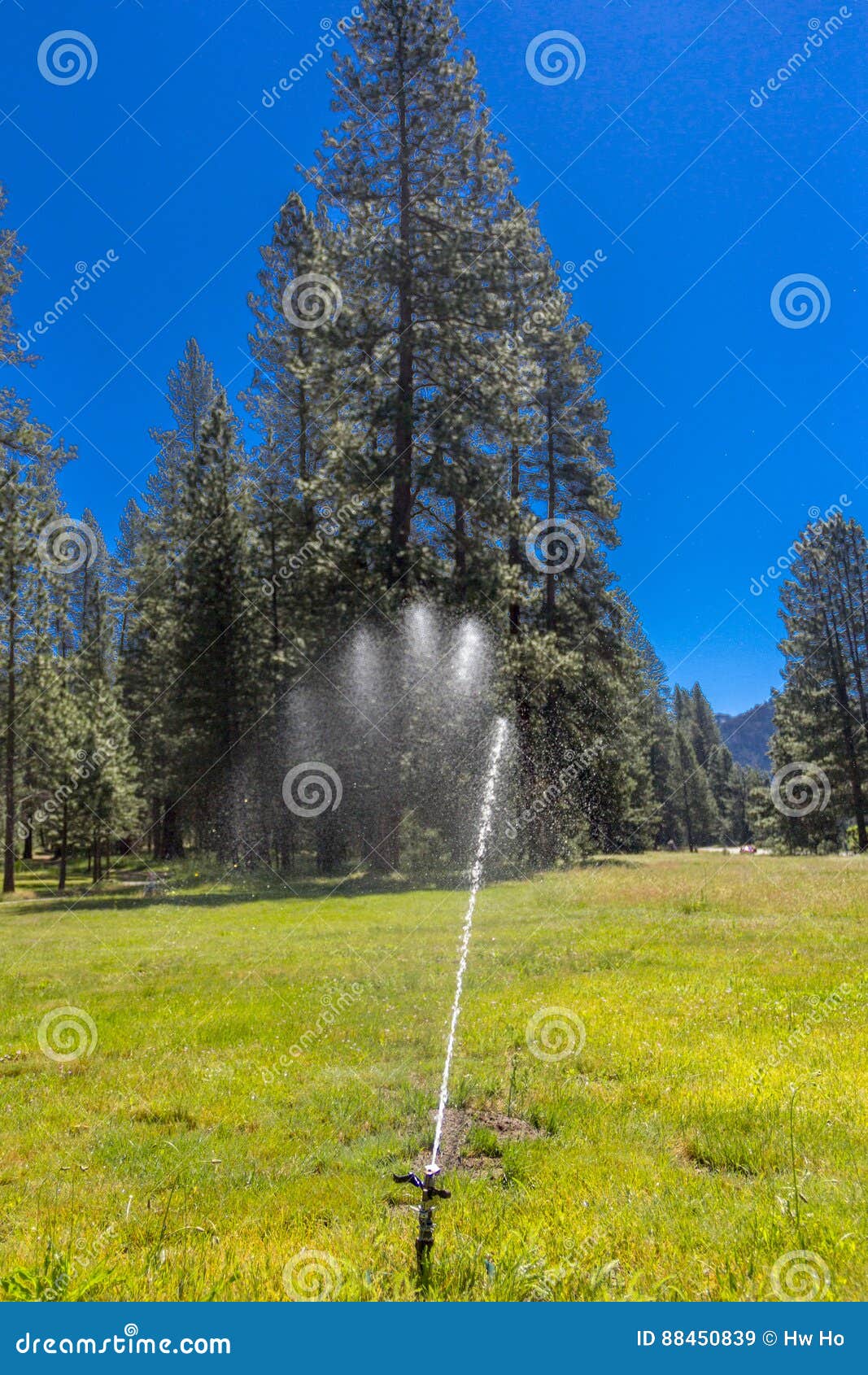 Sprinker Spraying Water on Lush Green Grass in Park Stock Image - Image ...