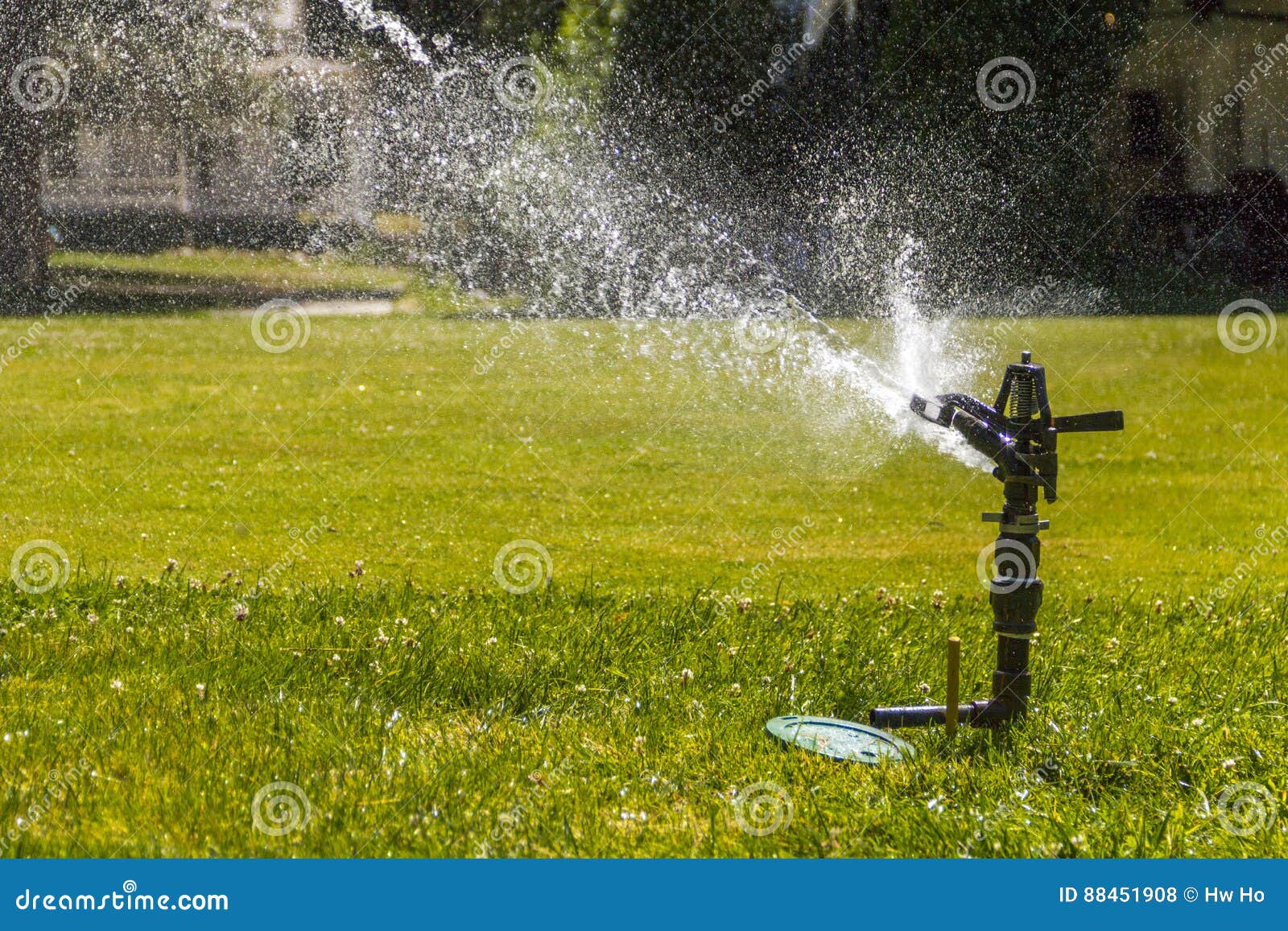 Sprinker Spraying Water on Lush Green Grass in Park Stock Photo - Image ...