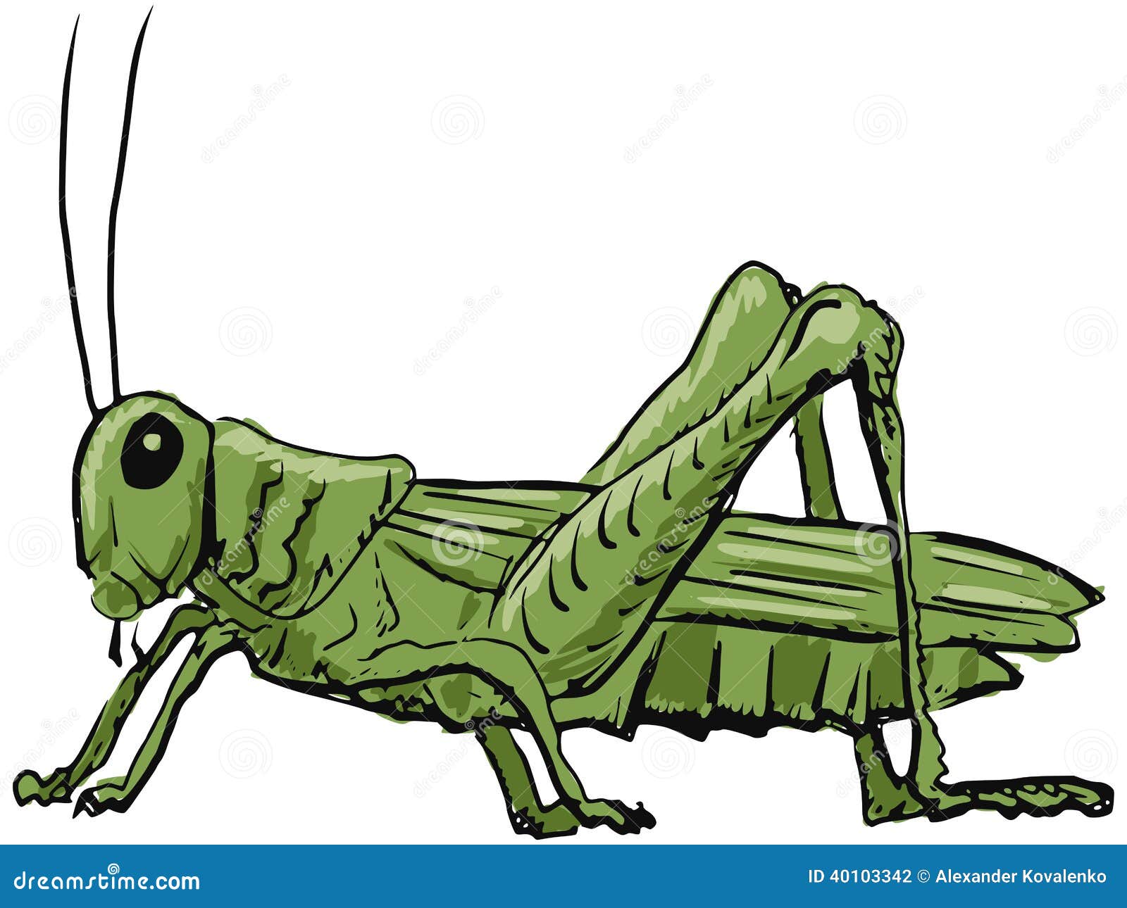 Sprinkhaan vector illustratie. Illustration of groen - 40103342